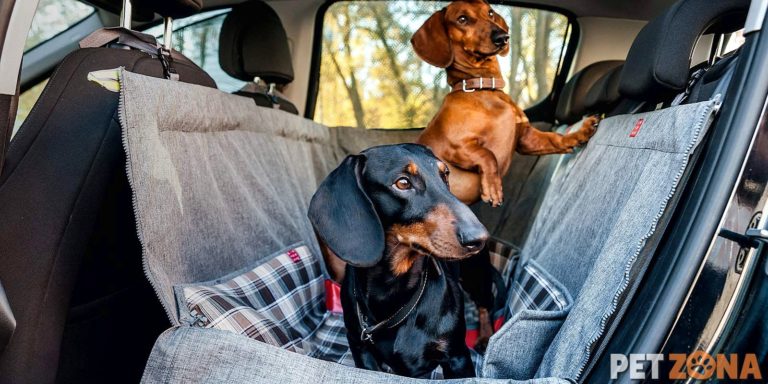 Автогамак для перевозки собак: комфортное и безопасное путешествие для ...